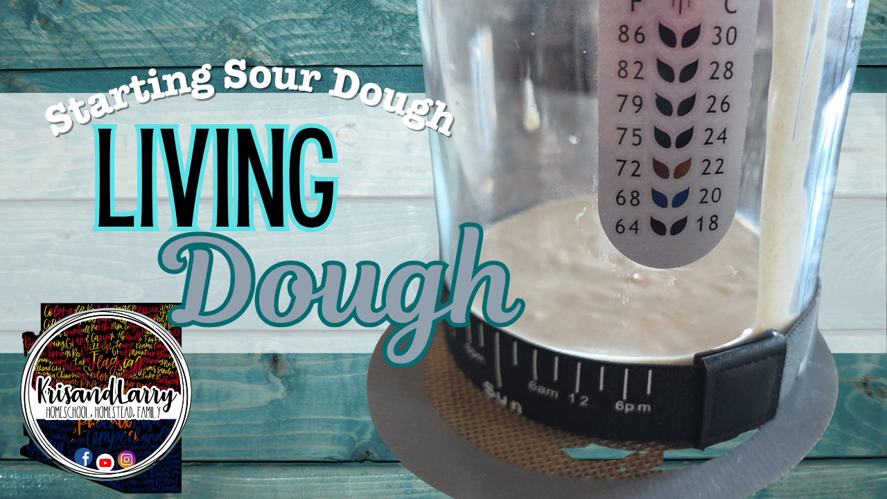 Starting Sourdough with Living Dough – KrisandLarry.com